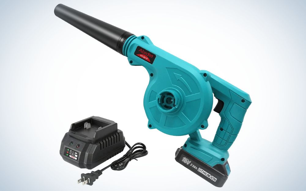 The best cordless leaf blowers of 2024 | Popular Science