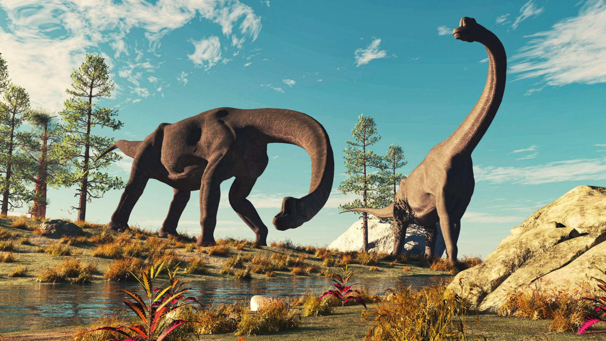 A gigantic sauropod skeleton has been found in Portugal | Popular Science