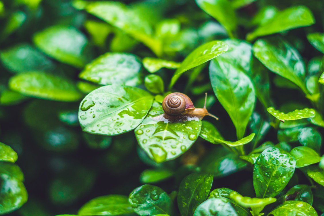 What is mucus made of? A look at slime evolution. | Popular Science