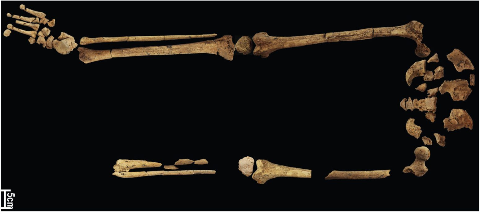 Oldest known Neanderthal art found in cave | Popular Science