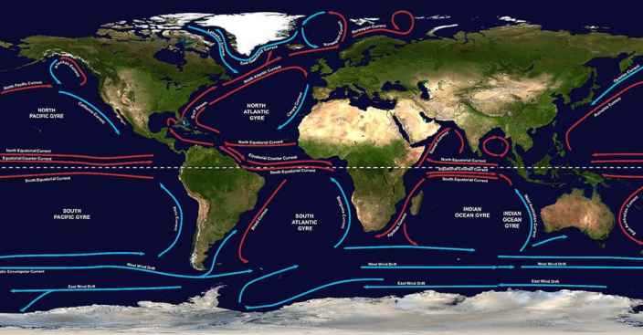Ocean predators feed in swirling eddies | Popular Science