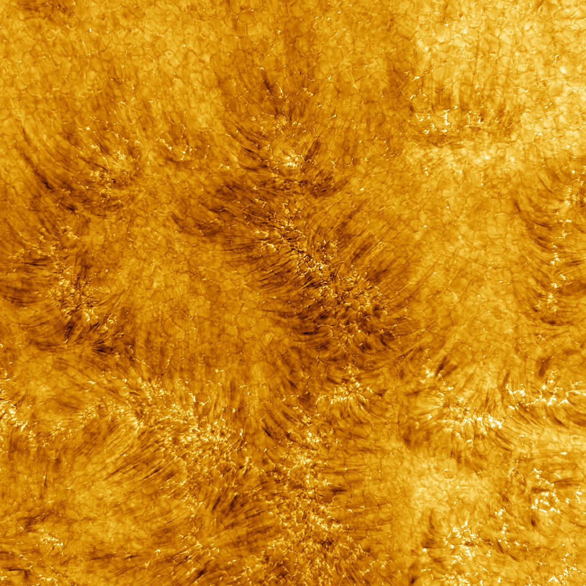 Check out the first images of the sun’s atmosphere | Popular Science