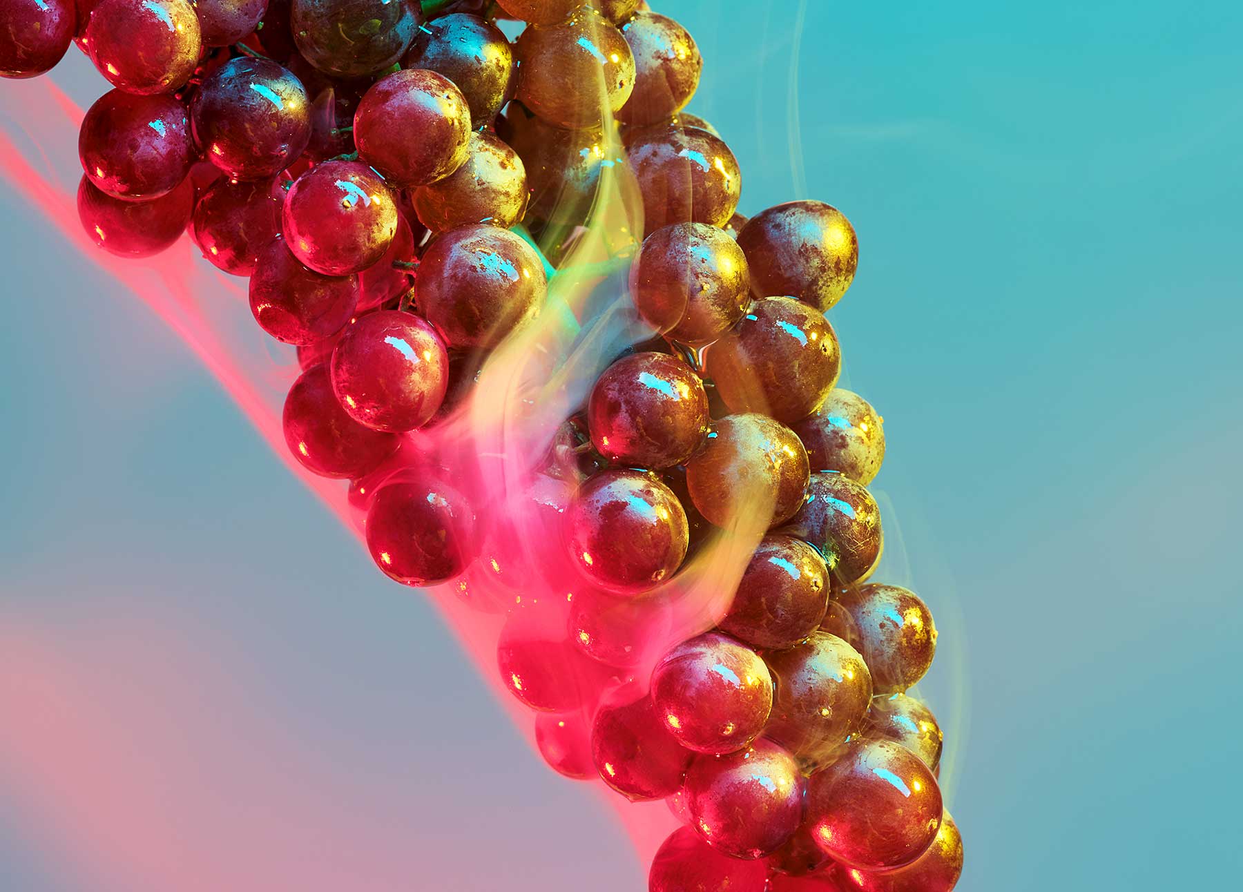 The winemakers trying to adapt to a smokier world | Popular Science