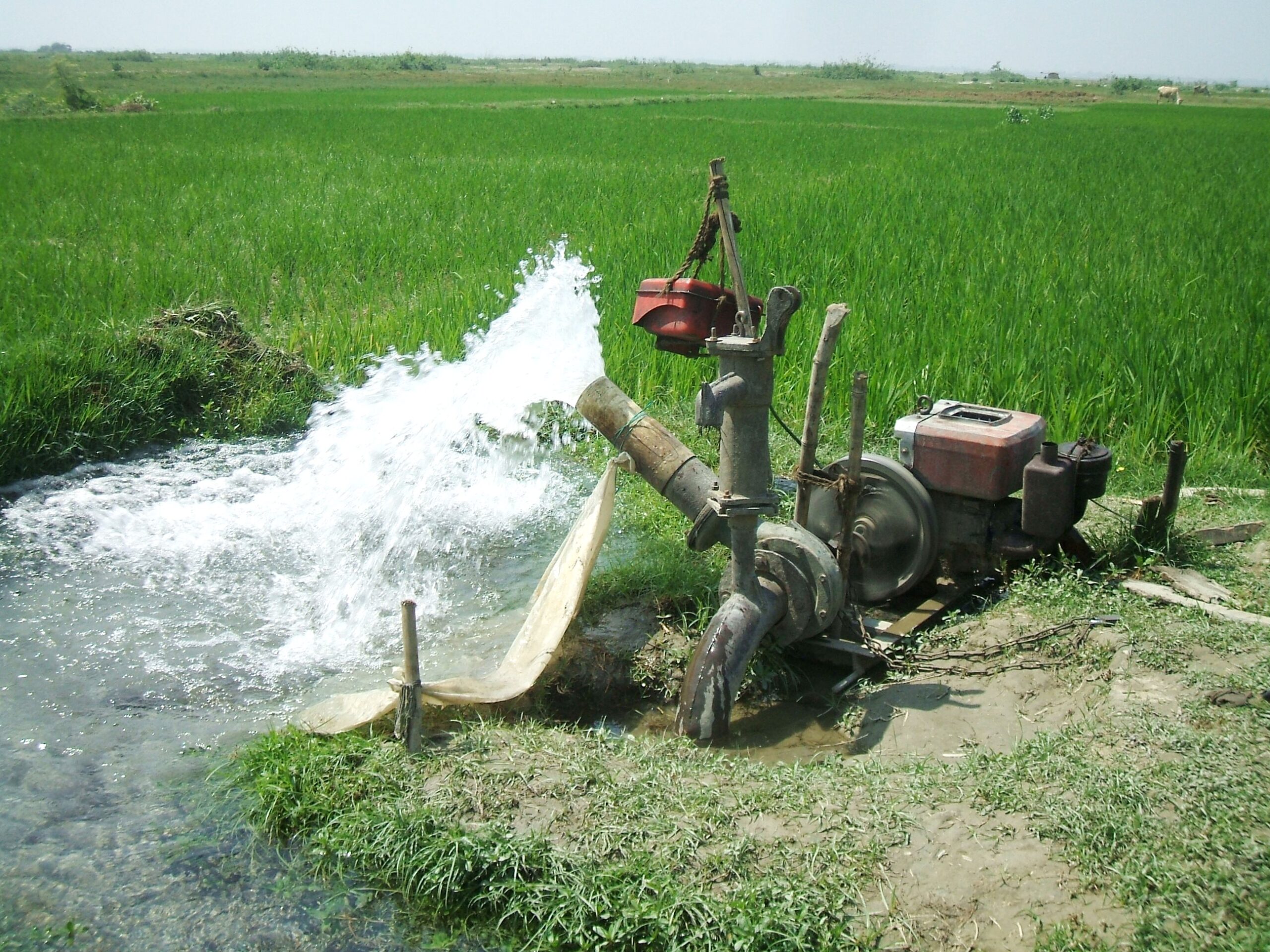 Farm pumps help Bangladesh avoid seasonal floods | Popular Science