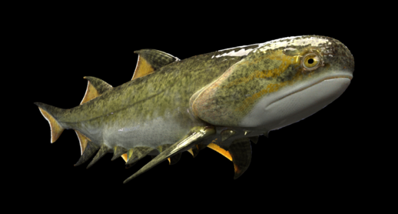First jawed shark ancestor discovered in southern China | Popular Science