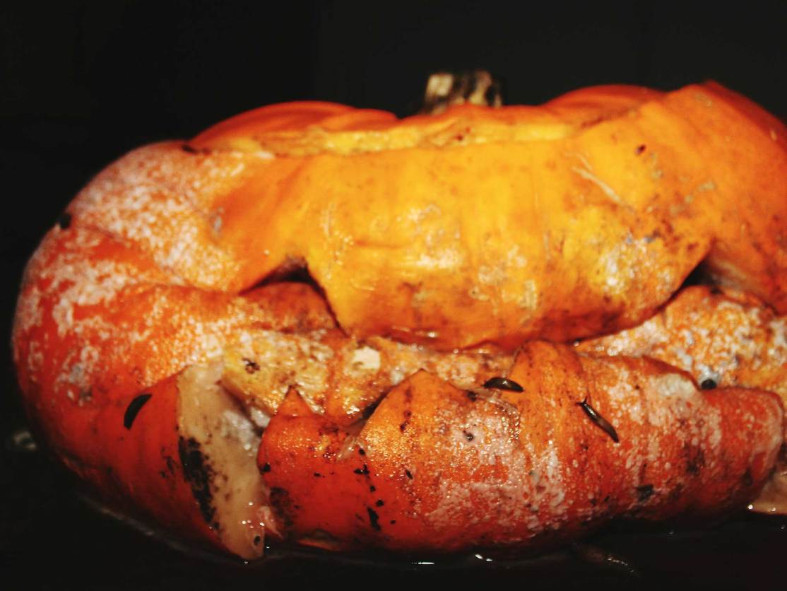 How to keep your pumpkin from rotting | Popular Science