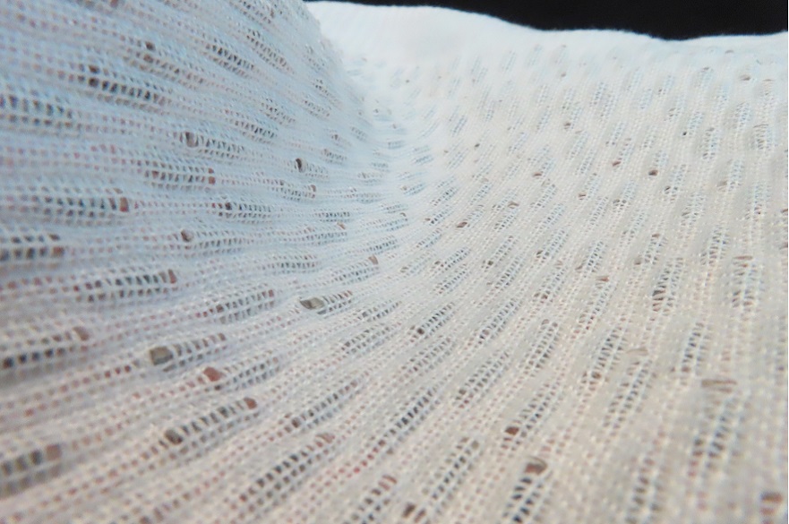 This fabric doubles as 1,200 solar panels | Popular Science