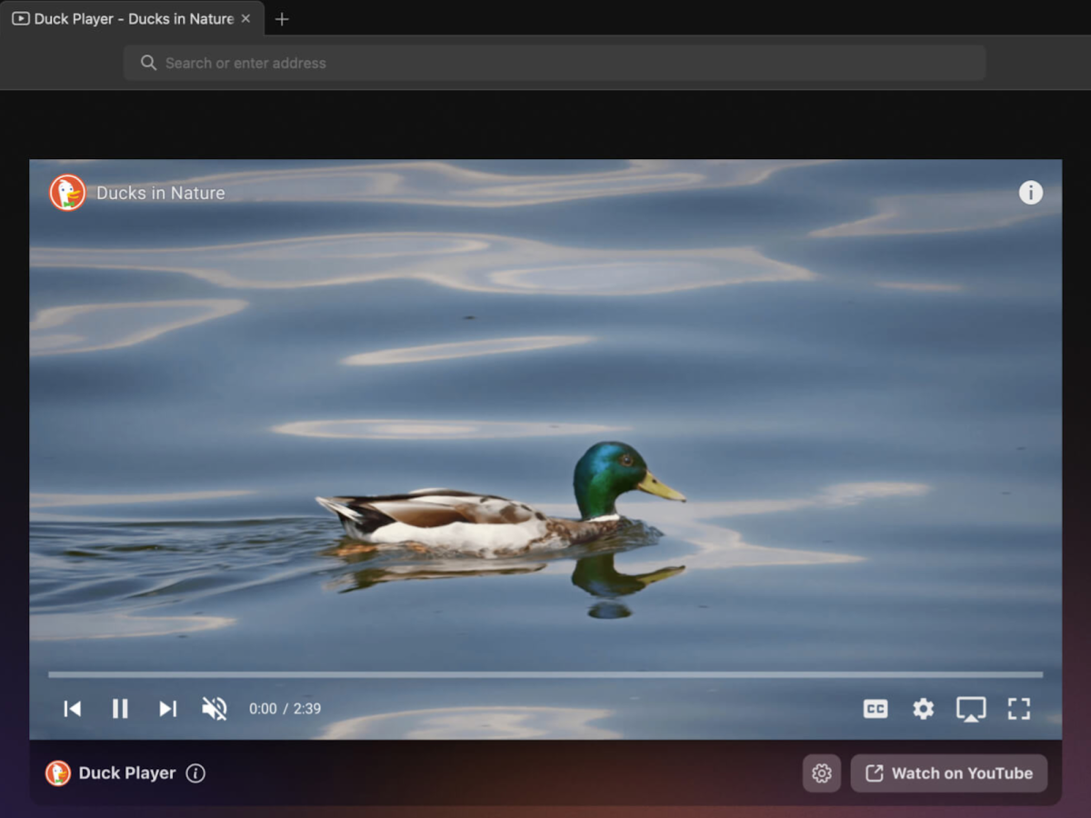 Mac users can now use DuckDuckGo's browser | Popular Science