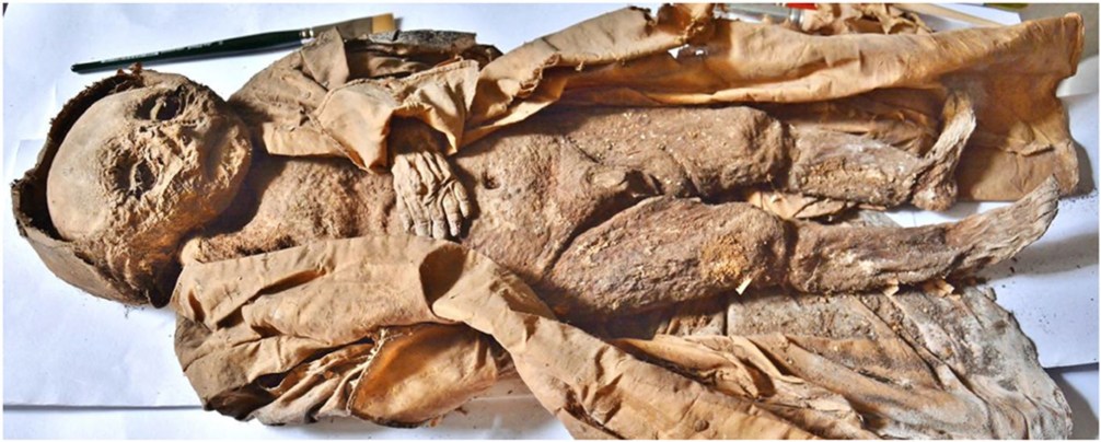 Mummified infant shows how a lack of sunlight can kill | Popular Science