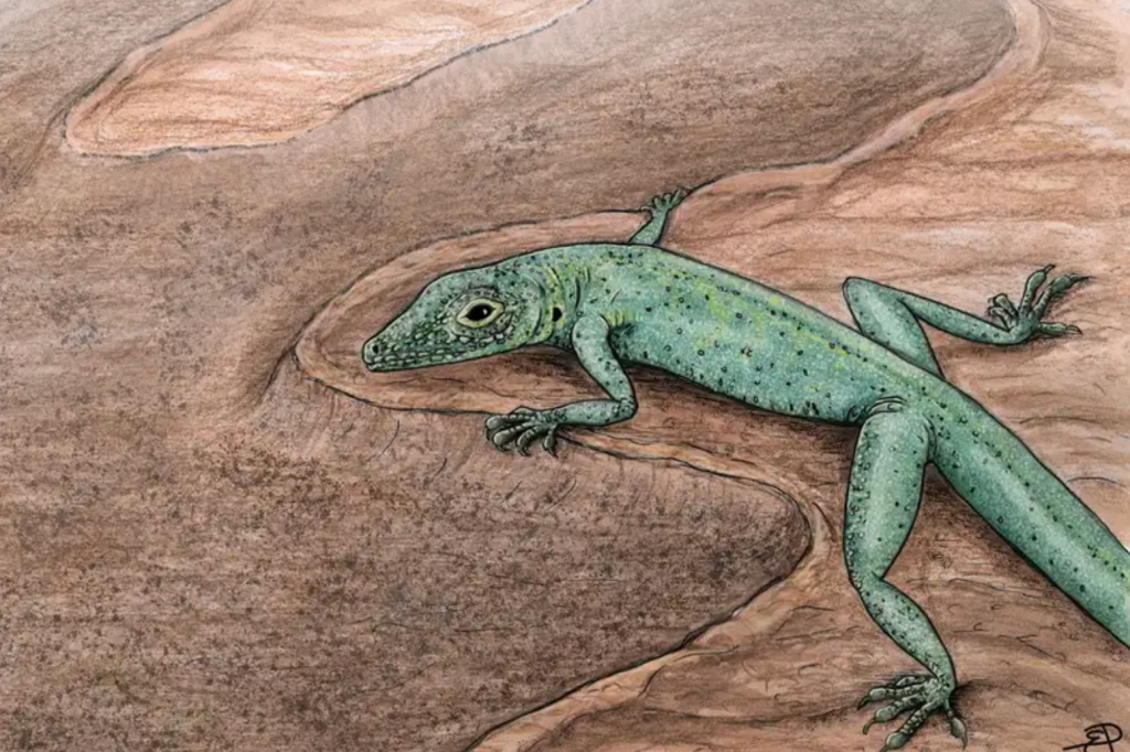 A Scottish fossil is helping scientists fill the gaps in the lizard ...