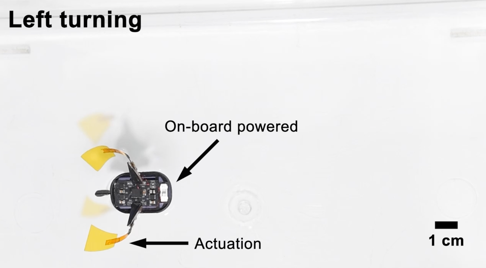 Watch this free floating robot paddle around | Popular Science