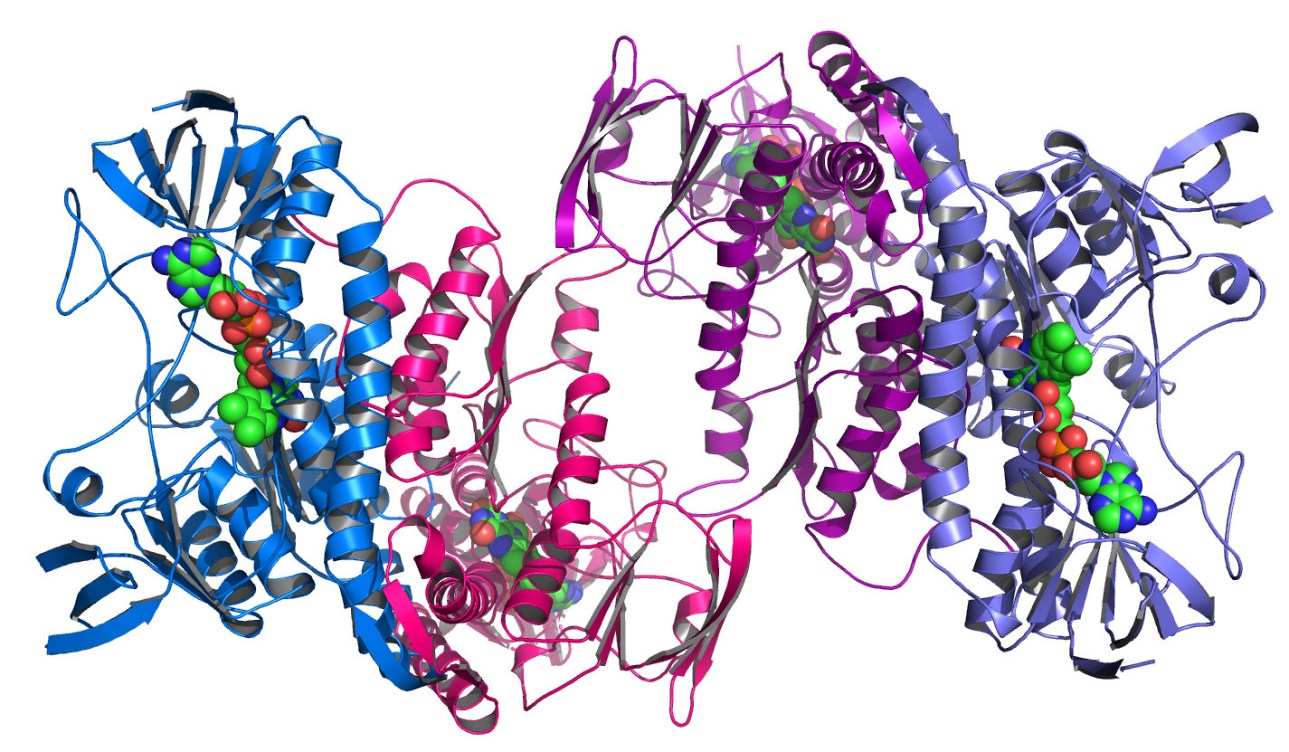 Meta's new AI tool can predict protein shapes | Popular Science