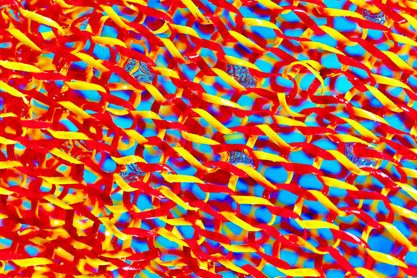 This defunct pot scrubber put marine biology in peril | Popular Science