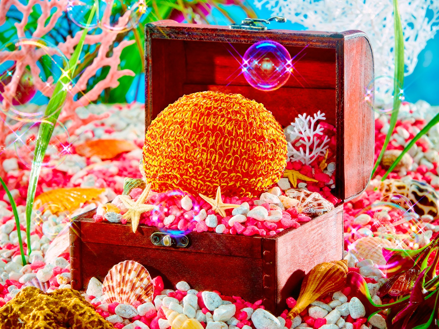 This defunct pot scrubber put marine biology in peril | Popular Science