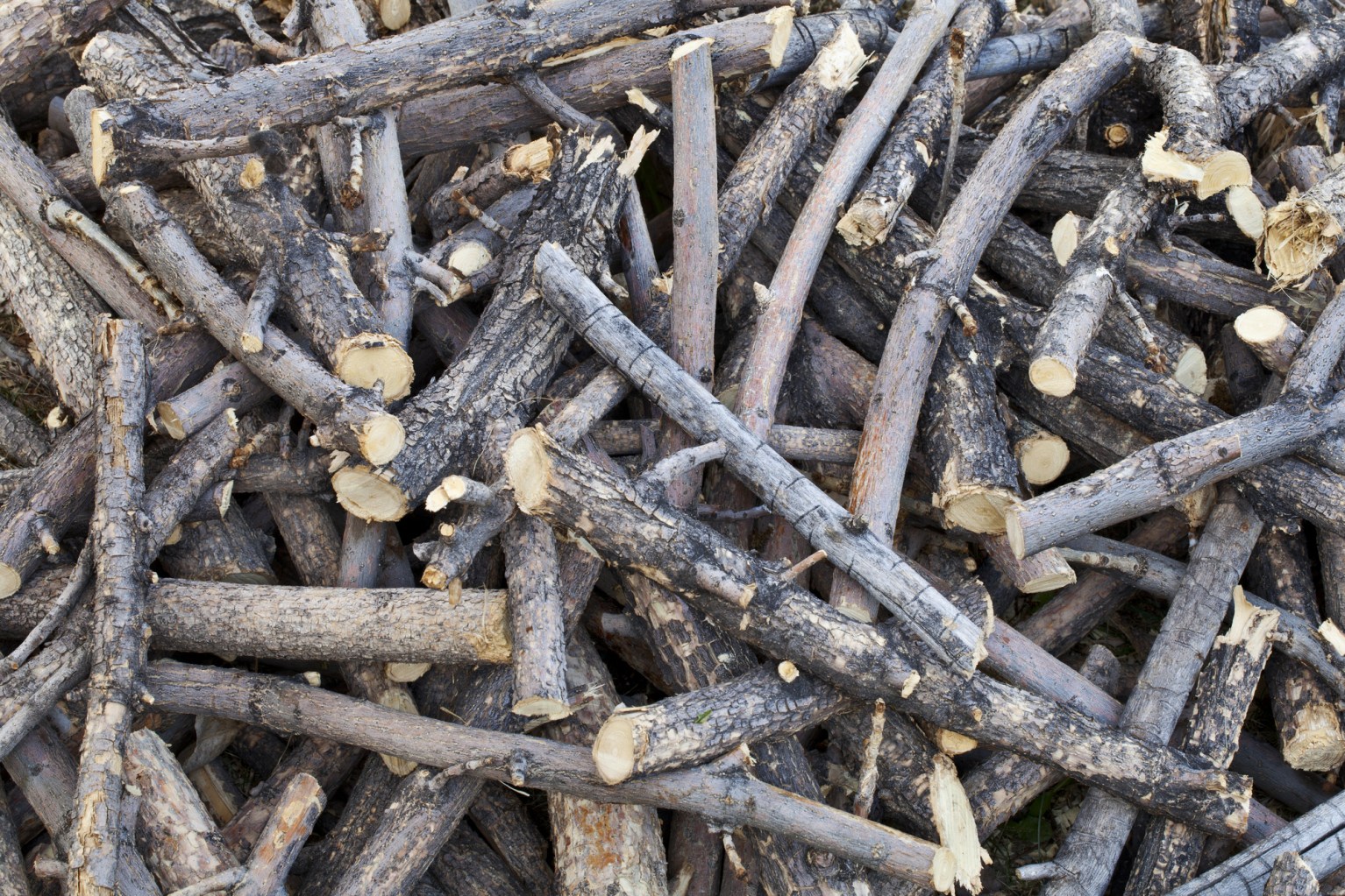 Check out this drone made out of sticks | Popular Science