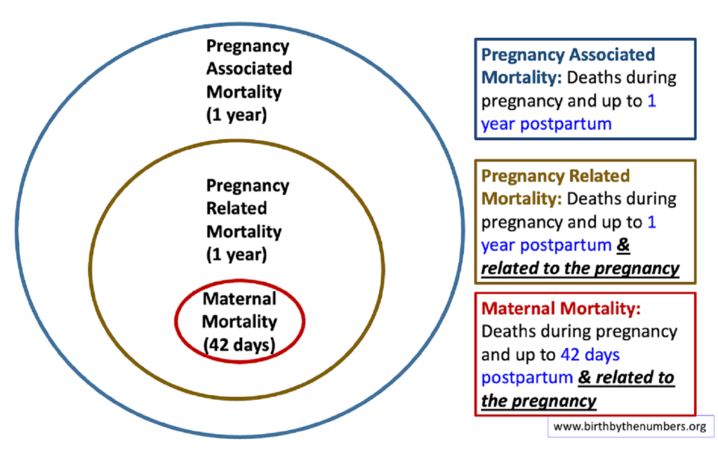 Maternal mortality data and maternity care are linked | Popular Science