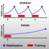 Kids are fast learners—this mechanism could be why | Popular Science
