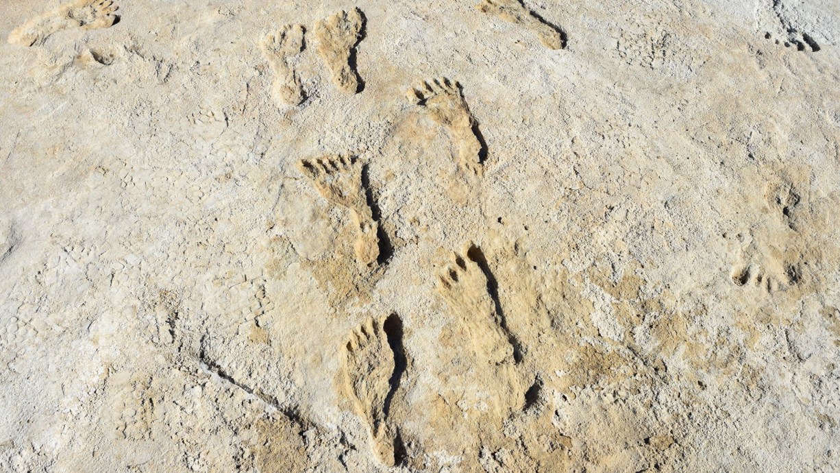 Debate into the age of White Sands footprints heats up | Popular Science