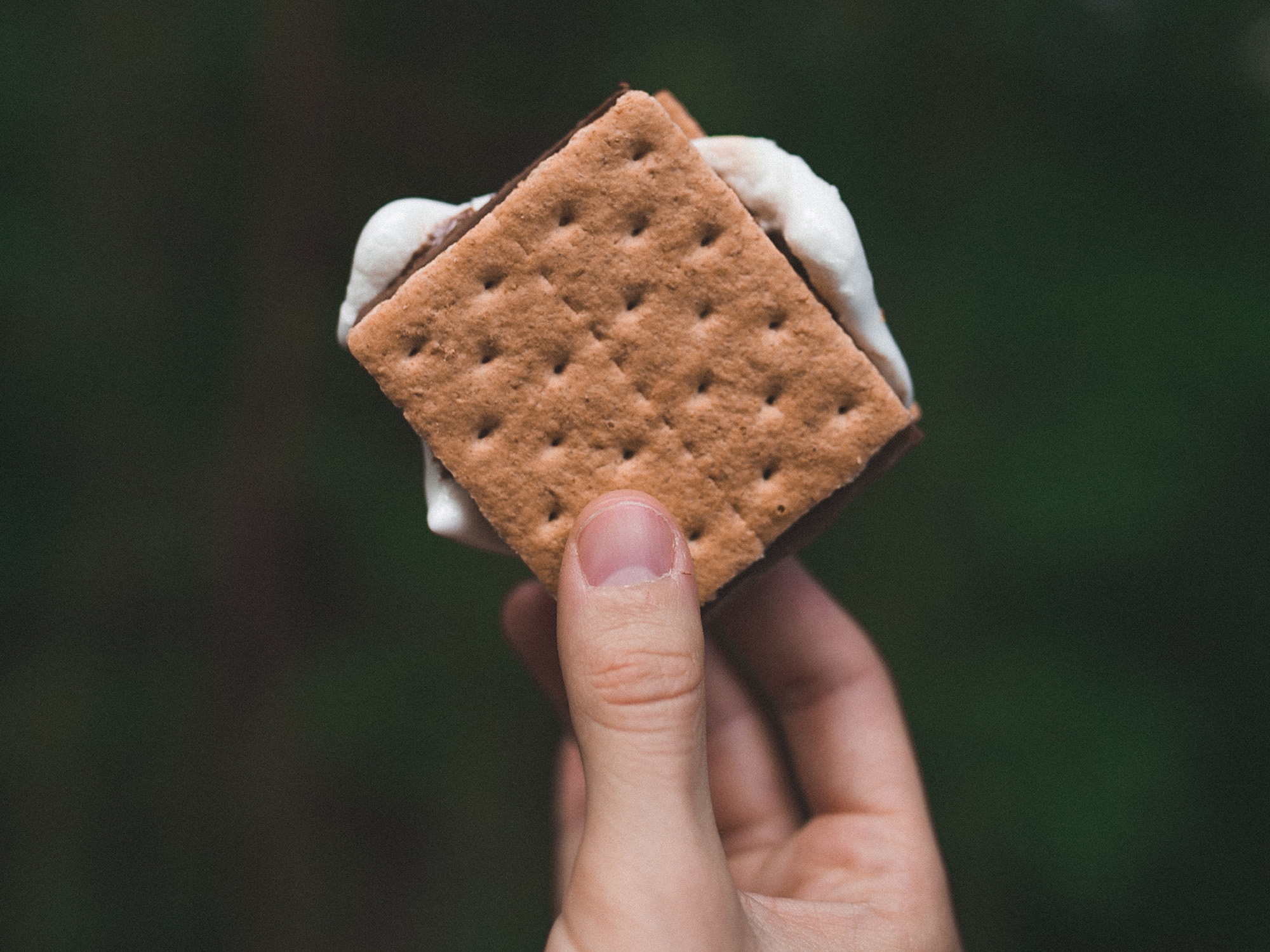 How to make the perfect s’mores—with science | Popular Science