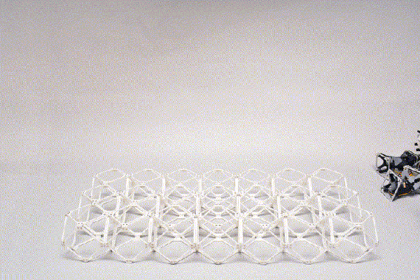 These robots can build almost anything—including clones of themselves ...