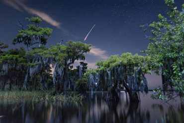 10 stunning National Geographic photos from the year | Popular Science