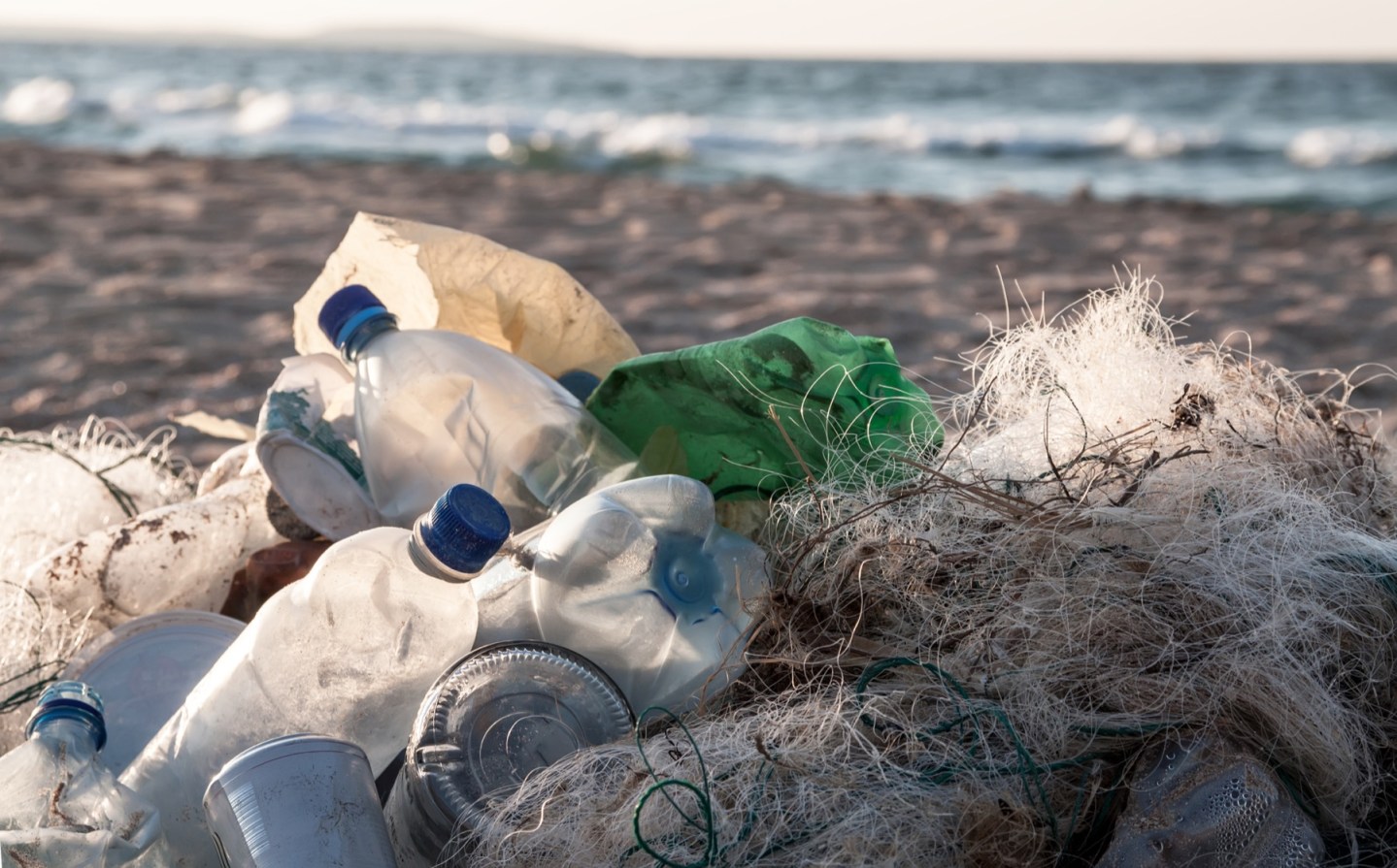 Harmful bacteria found common ocean plastics | Popular Science