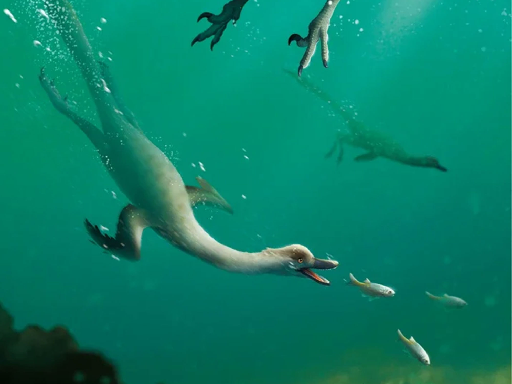 This velociraptor-type dino dove like a duck | Popular Science