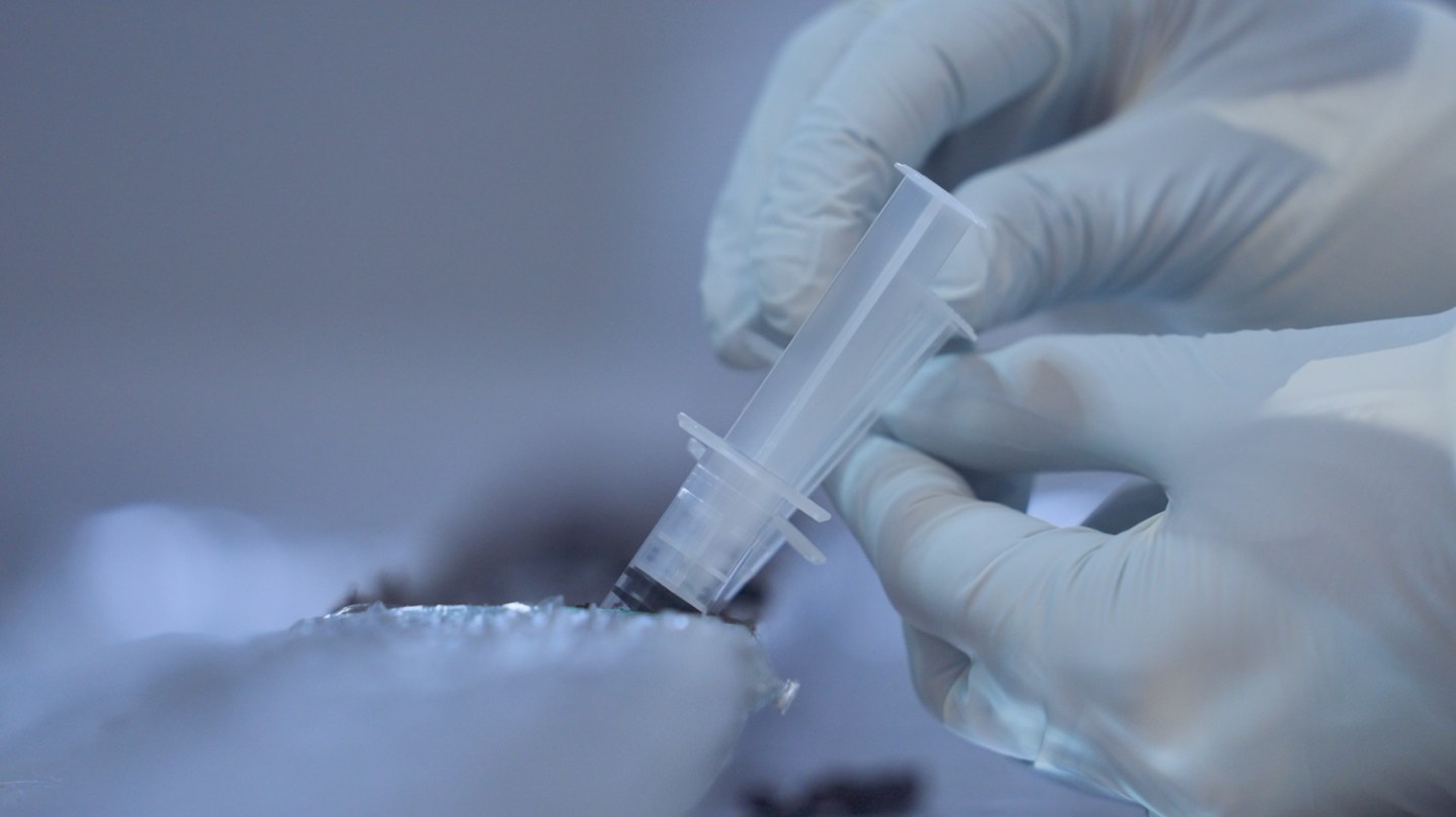 Ancient DNA analysis reveals Greenland climate change | Popular Science