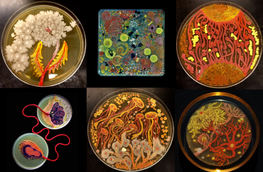 These intricate paintings are made with living bacteria | Popular Science