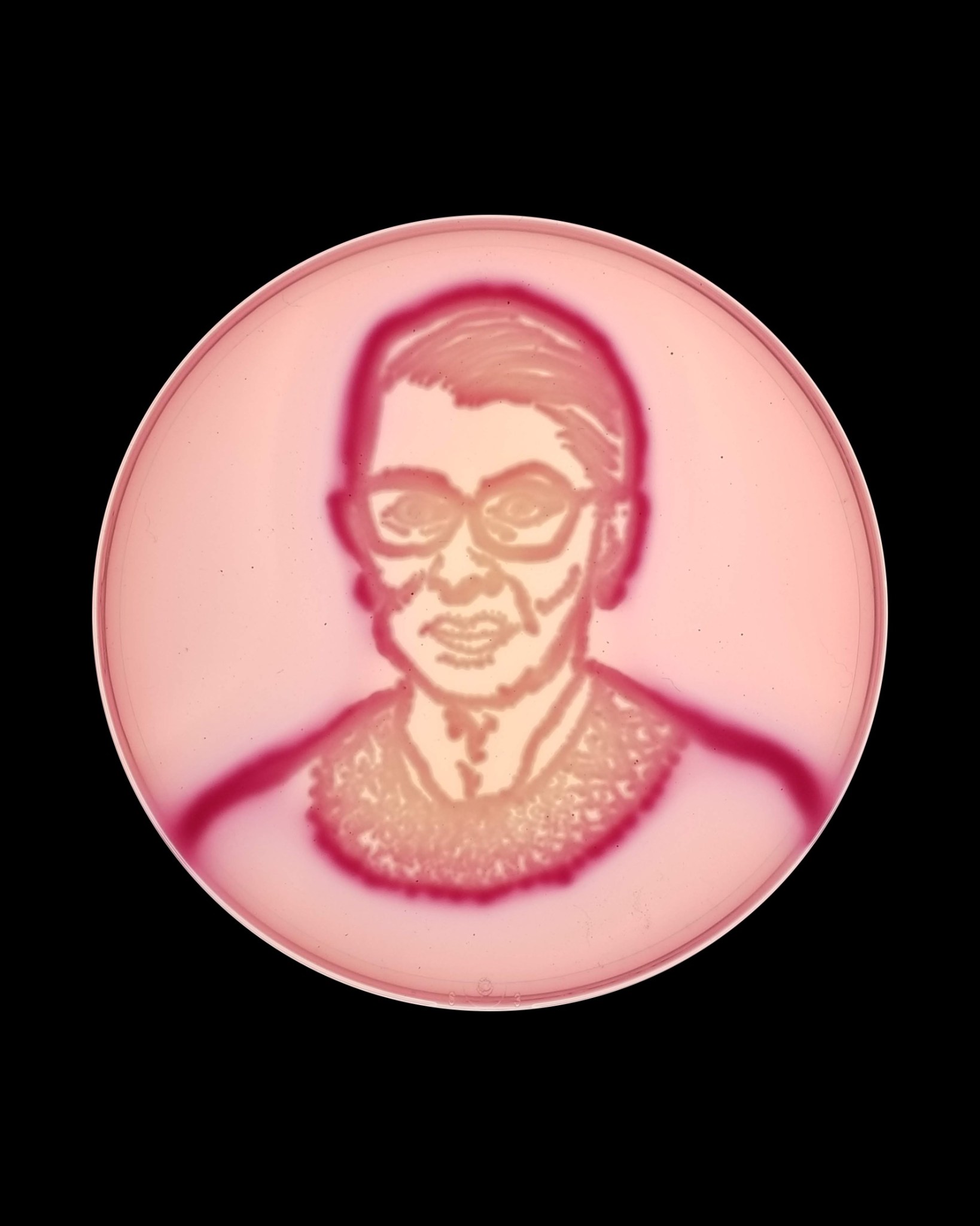 These intricate paintings are made with living bacteria | Popular Science