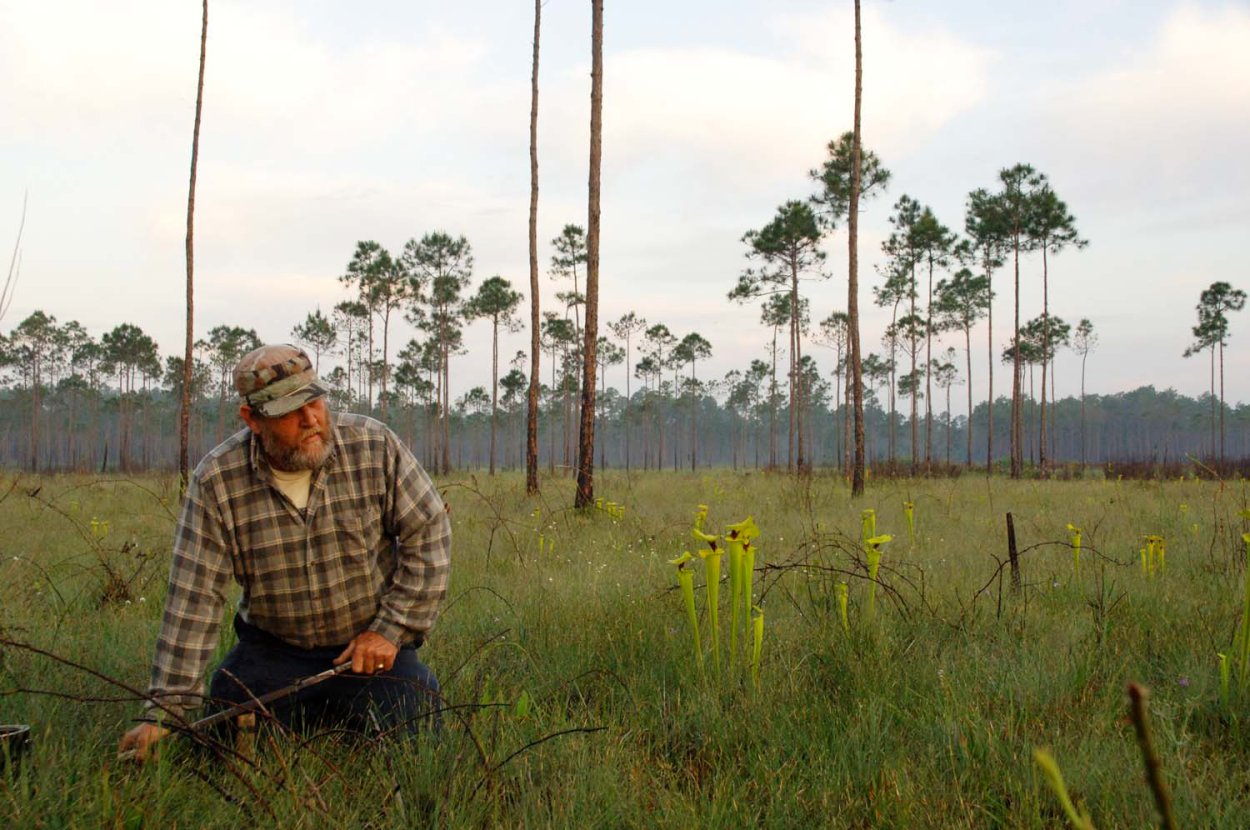 How worm grunters charm earthworm bait | Popular Science