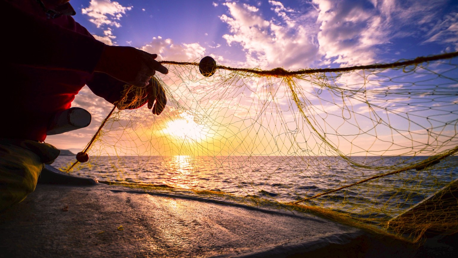 Where did fish fit in the ancient Mediterranean diet? | Popular Science