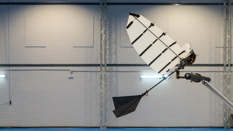This winged robot can land on a perch with its claw | Popular Science