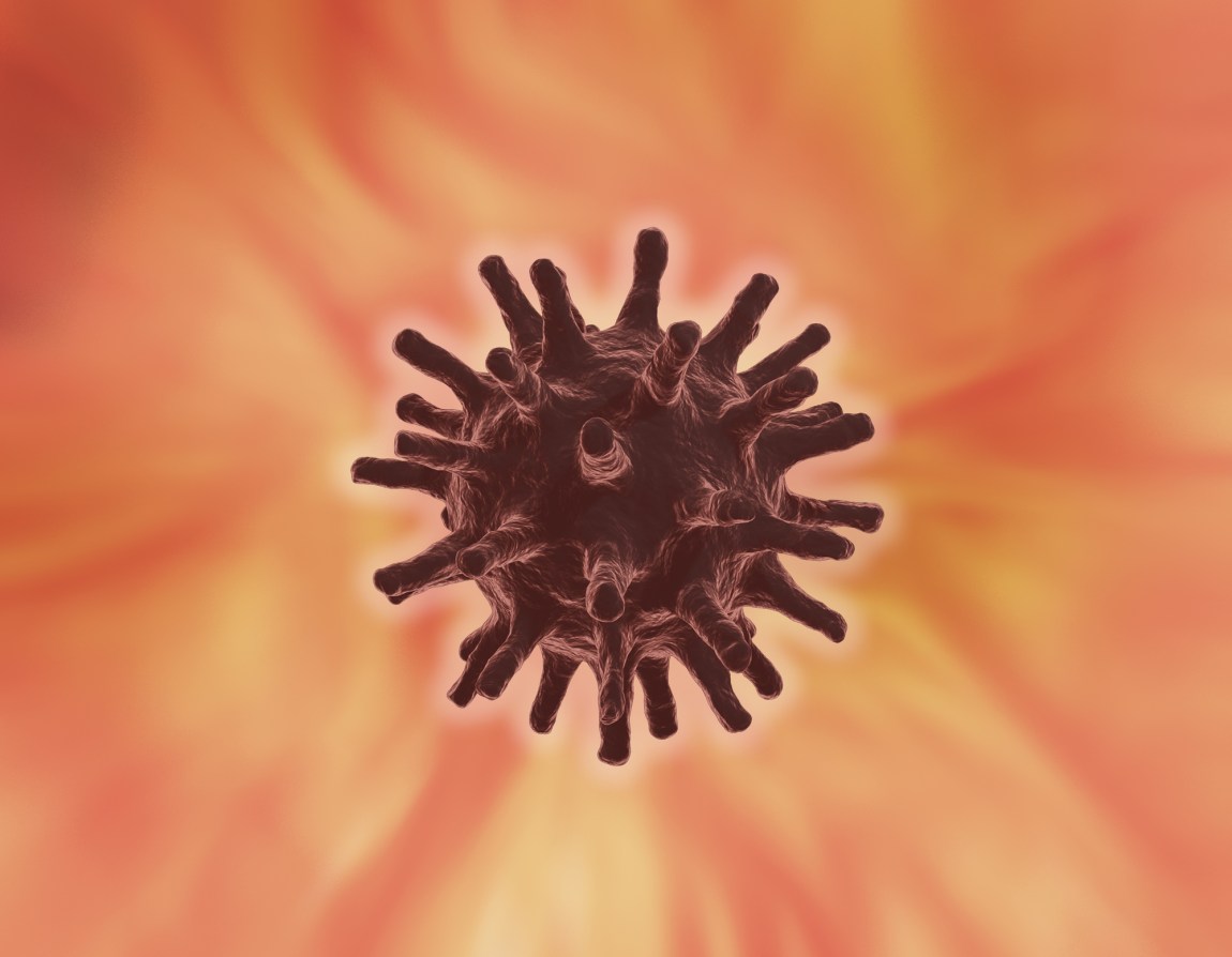 How COVID-19 tools helped fight other viruses in 2022 | Popular Science