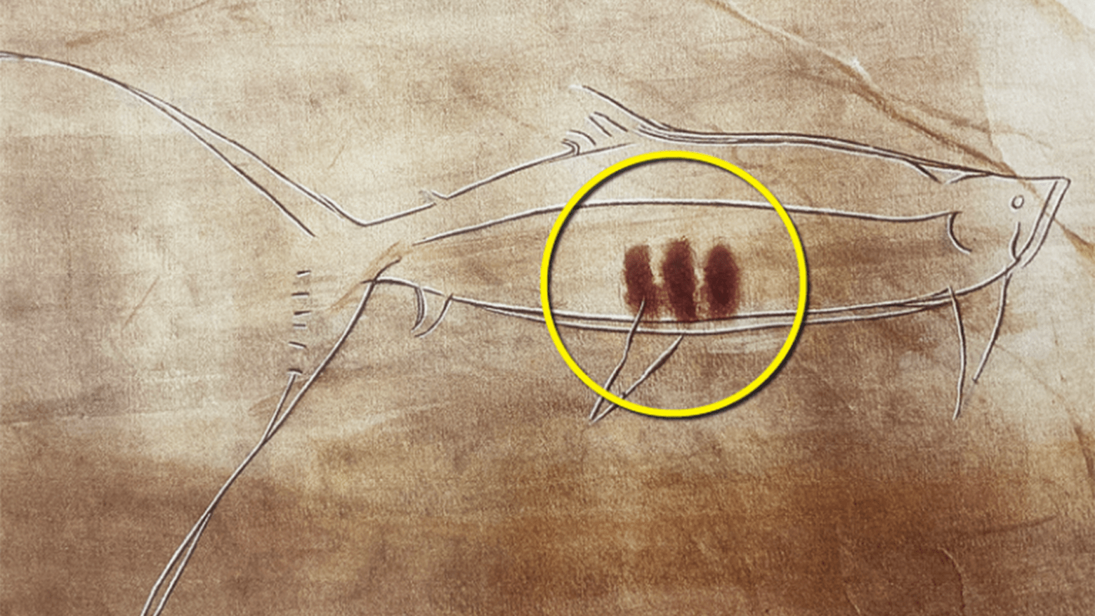 This odd predator thrived before the 'Great Dying' | Popular Science