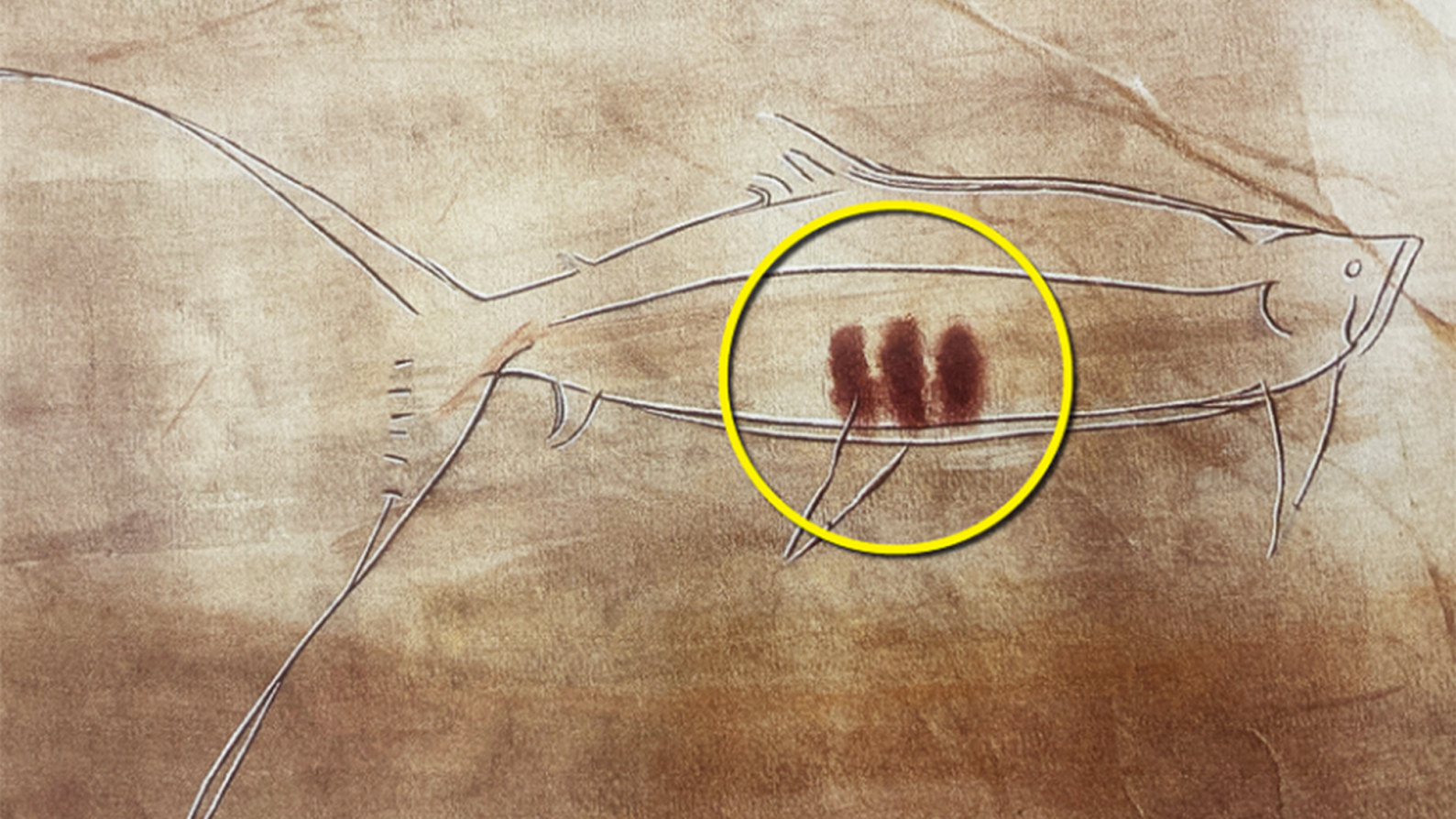 The science of Dune's sandworms | Popular Science