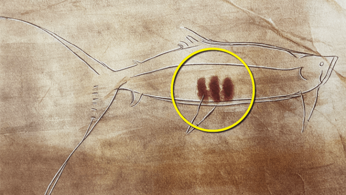 Sequences of dots and lines may be early writing form | Popular Science