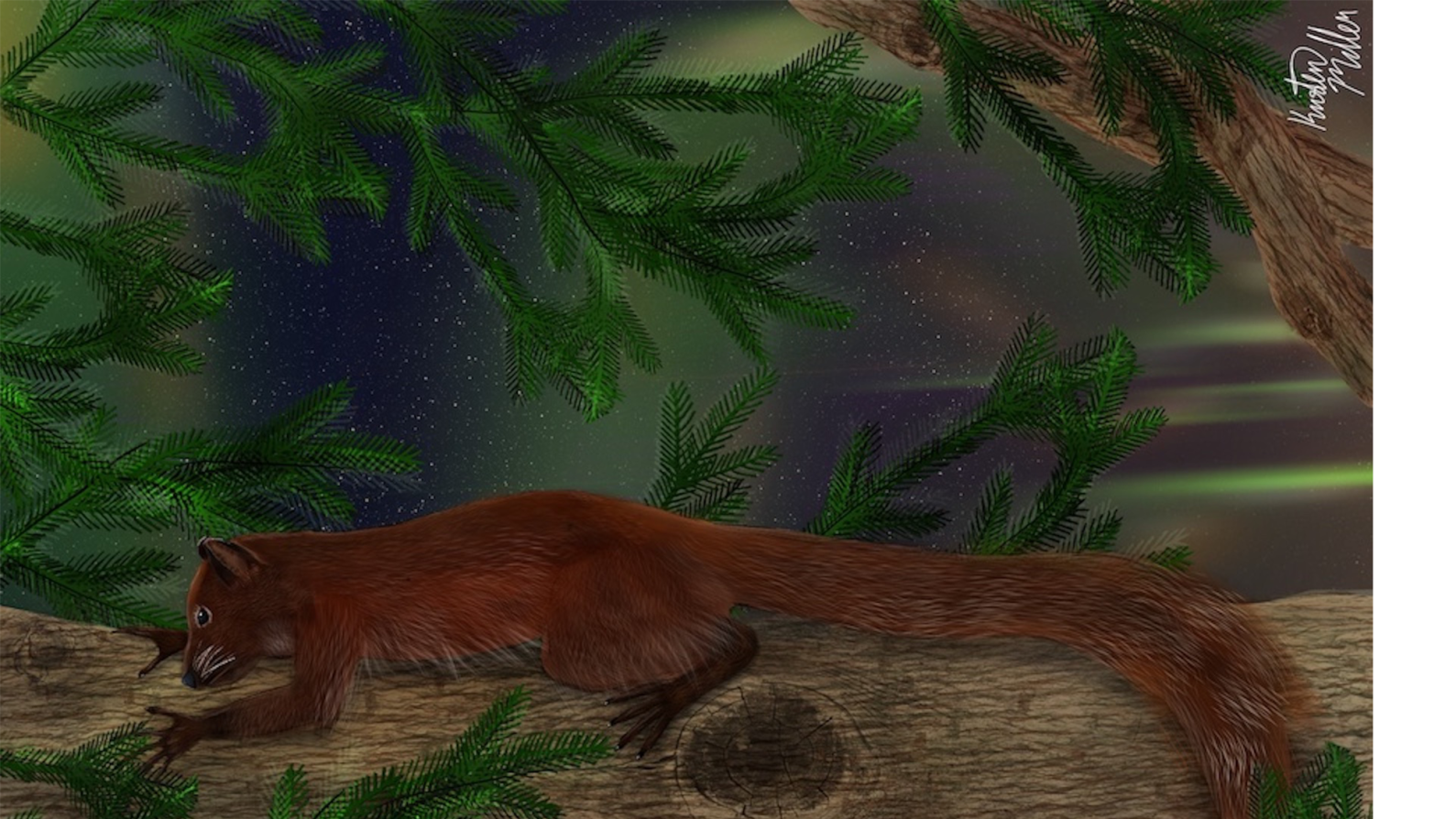 These ancient primates lived in the Arctic Circle | Popular Science