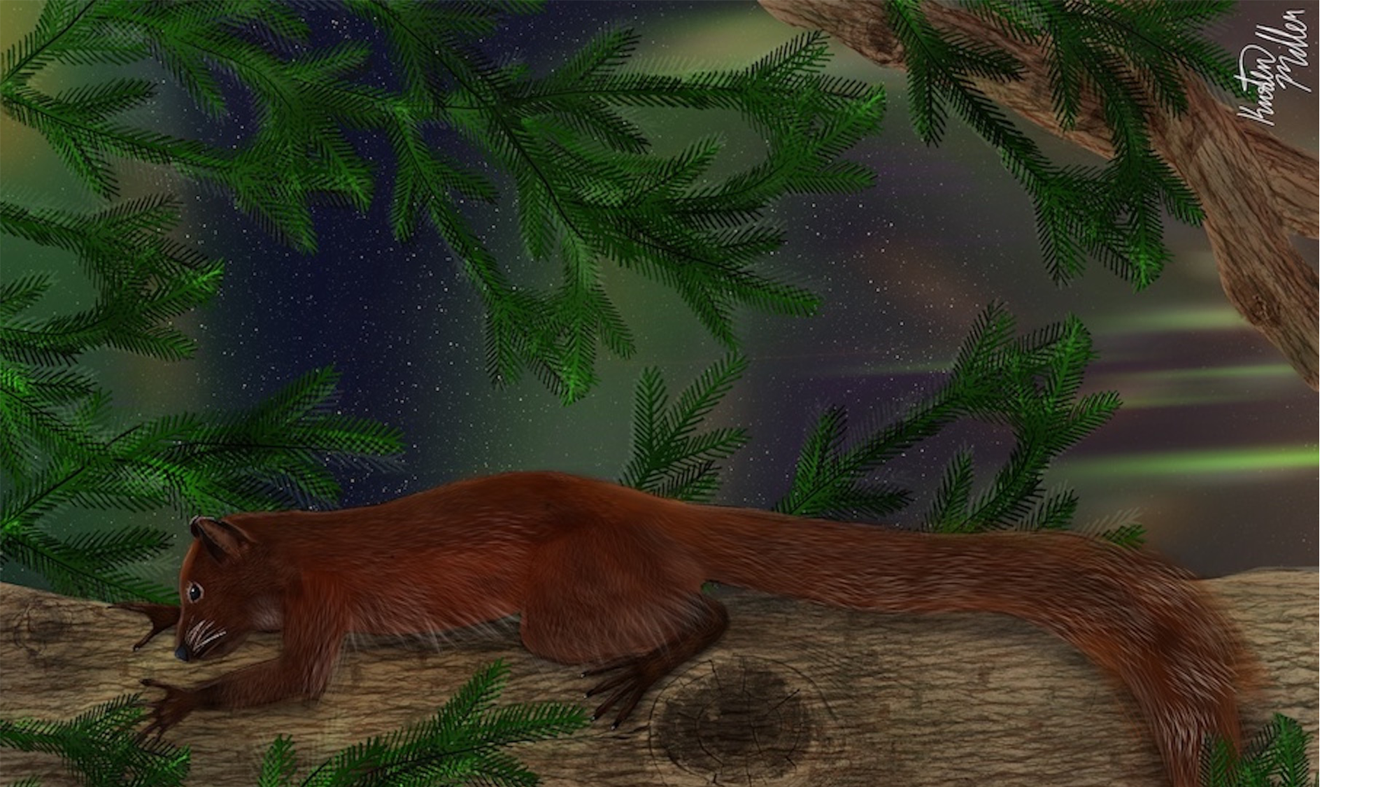 These ancient primates lived in the Arctic Circle | Popular Science