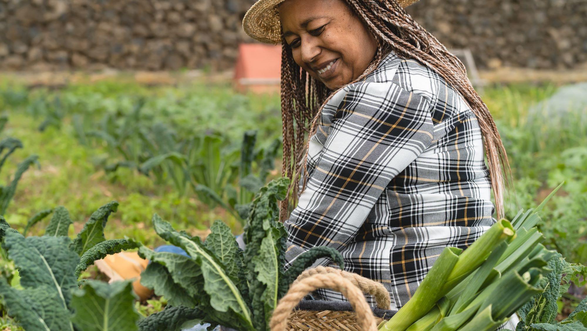 Board game 'Dirty Matters' is all about soil | Popular Science