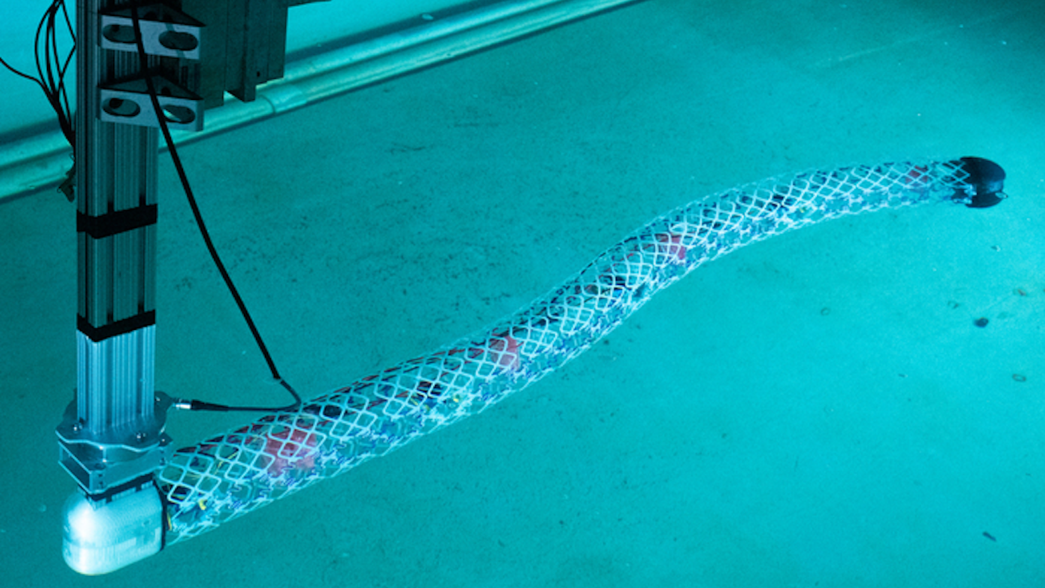 MIT's 'voxels' can build scalable robot eels | Popular Science