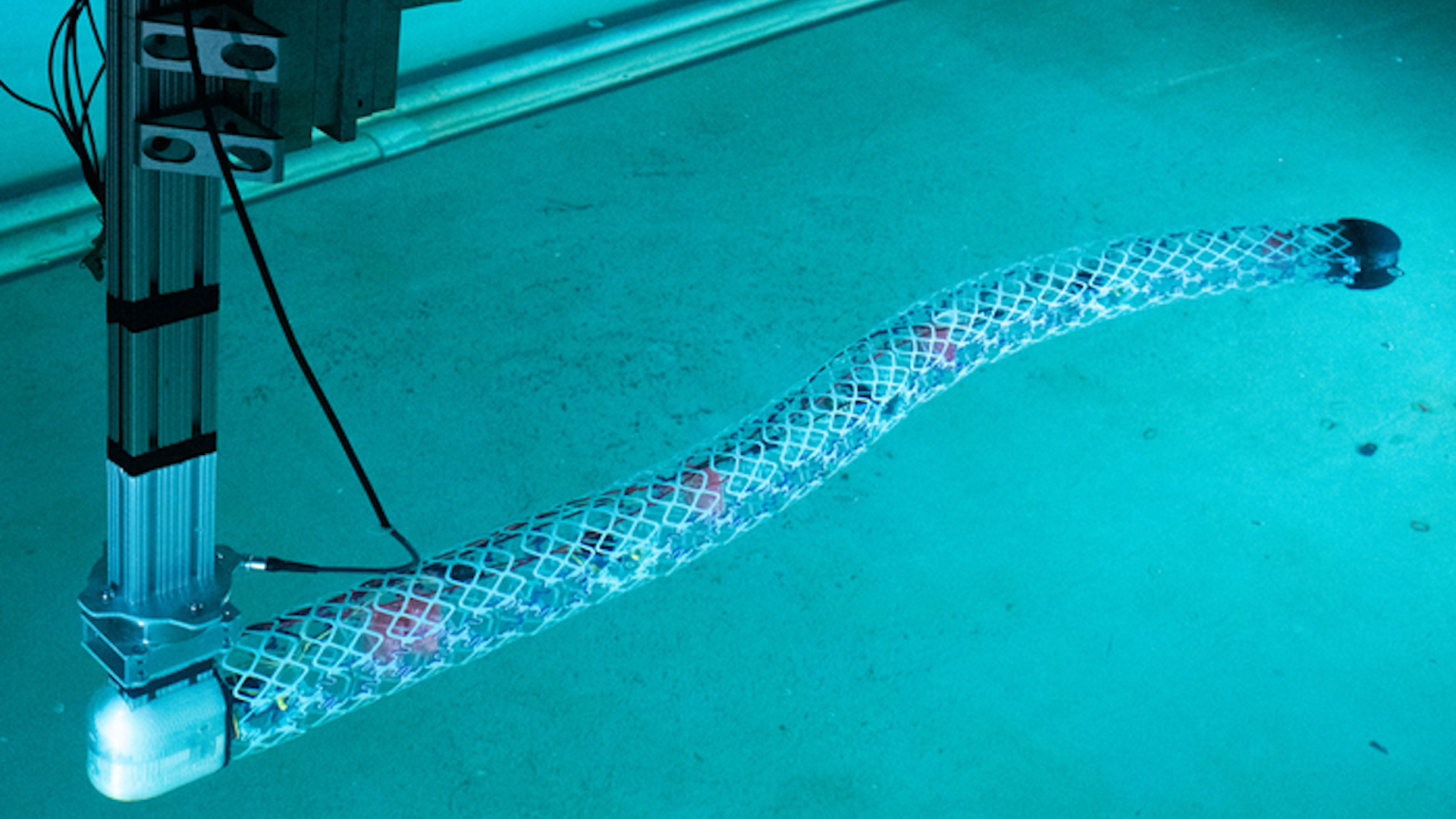 MIT's 'voxels' can build scalable robot eels | Popular Science