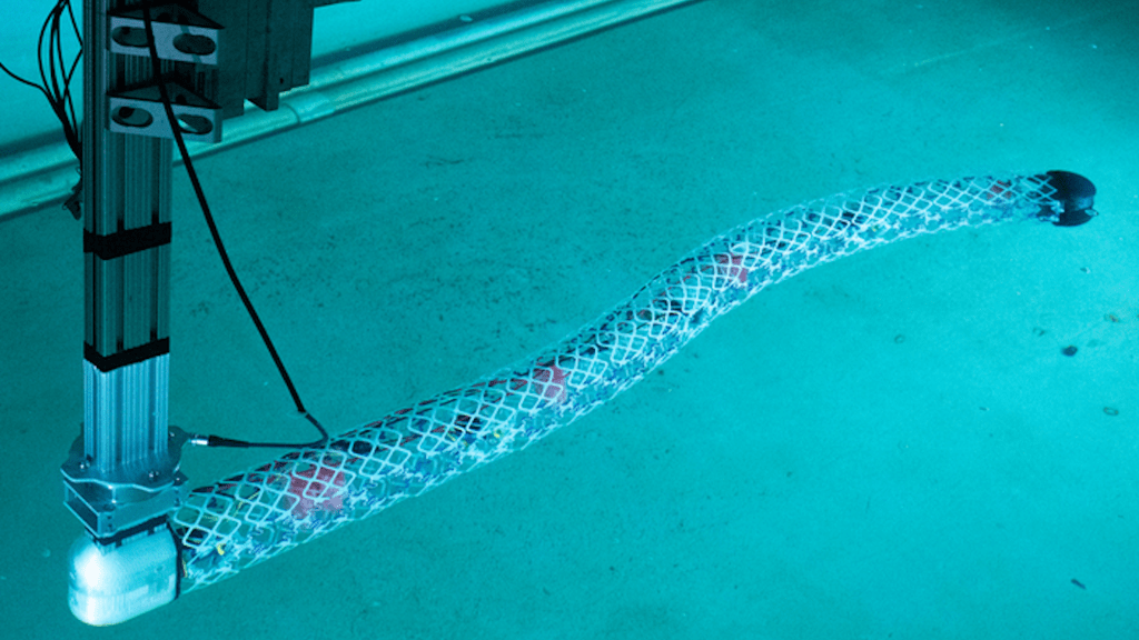 MIT's 'voxels' can build scalable robot eels | Popular Science