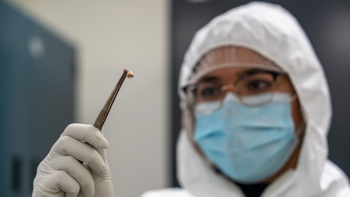 How the bubonic plague has survived for centuries | Popular Science