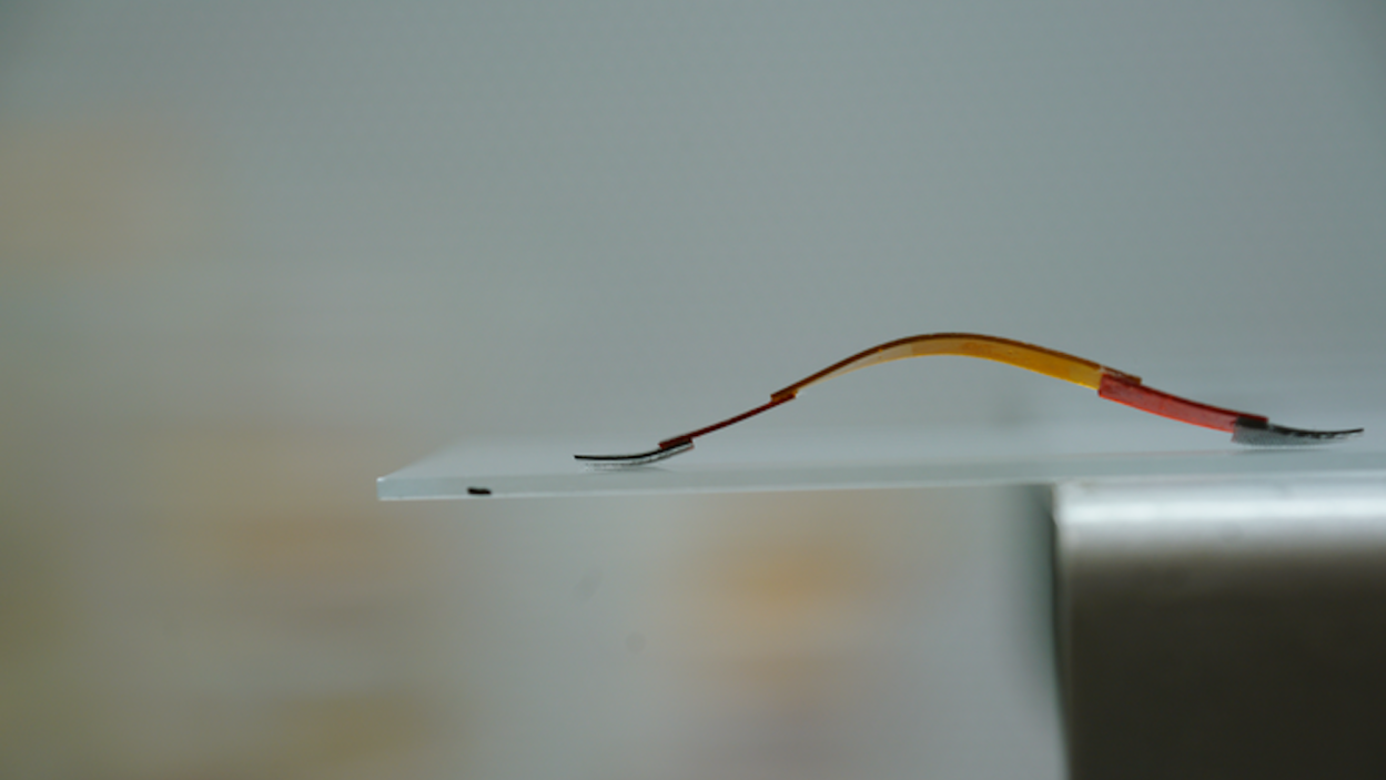 This tiny robot takes cues from geckos and inchworms | Popular Science