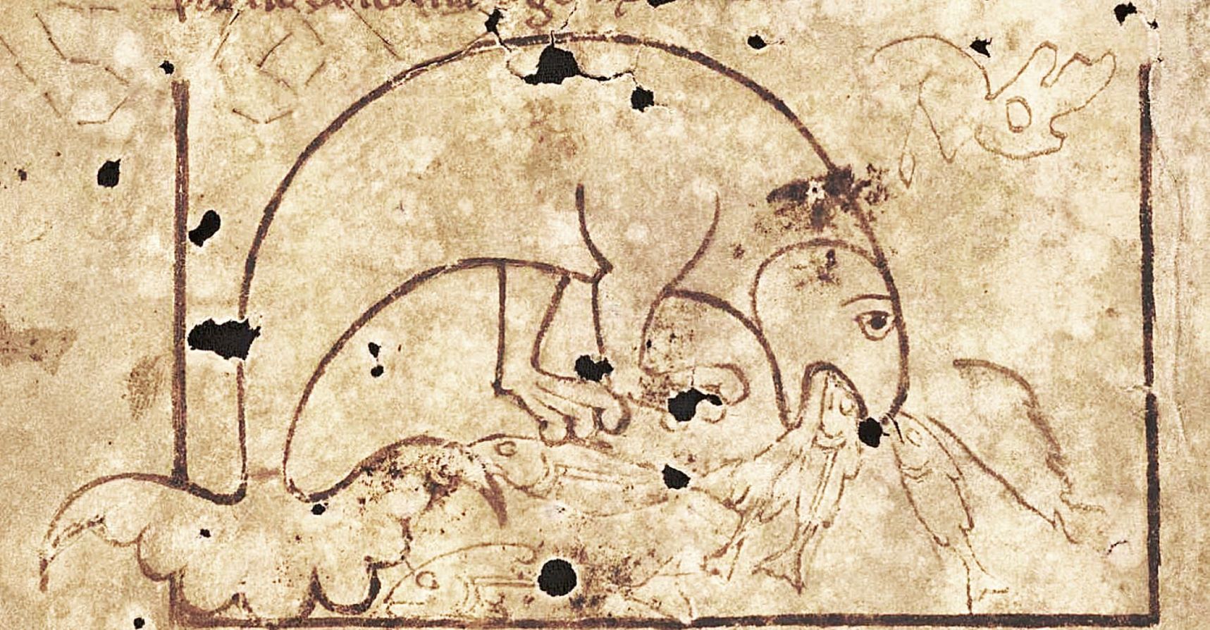Feeding whales may have inspired Norse hafgufa myth | Popular Science