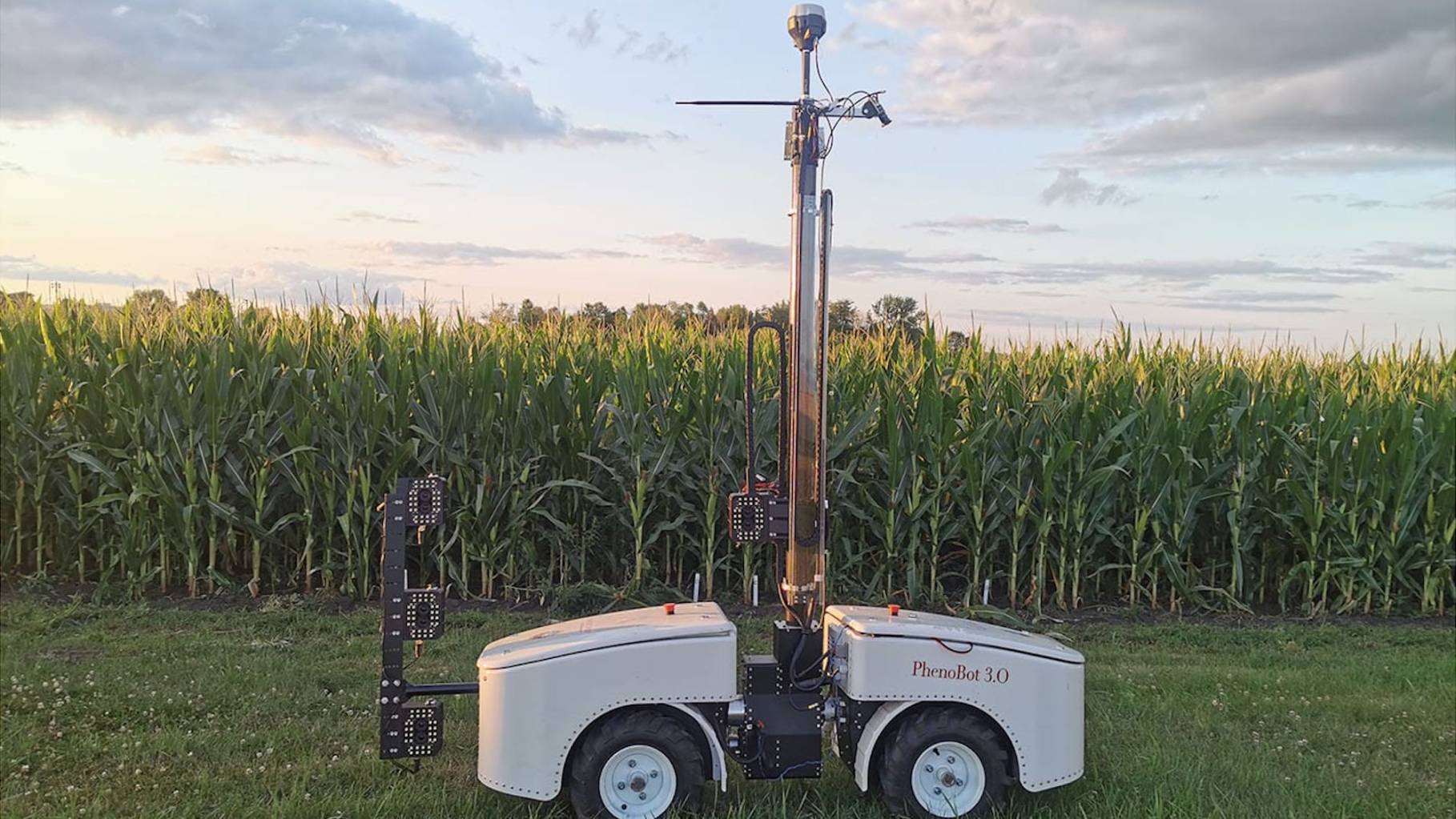 A corn leaf measuring robot is more useful than you think | Popular Science