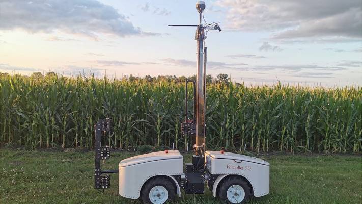 A corn leaf measuring robot is more useful than you think | Popular Science