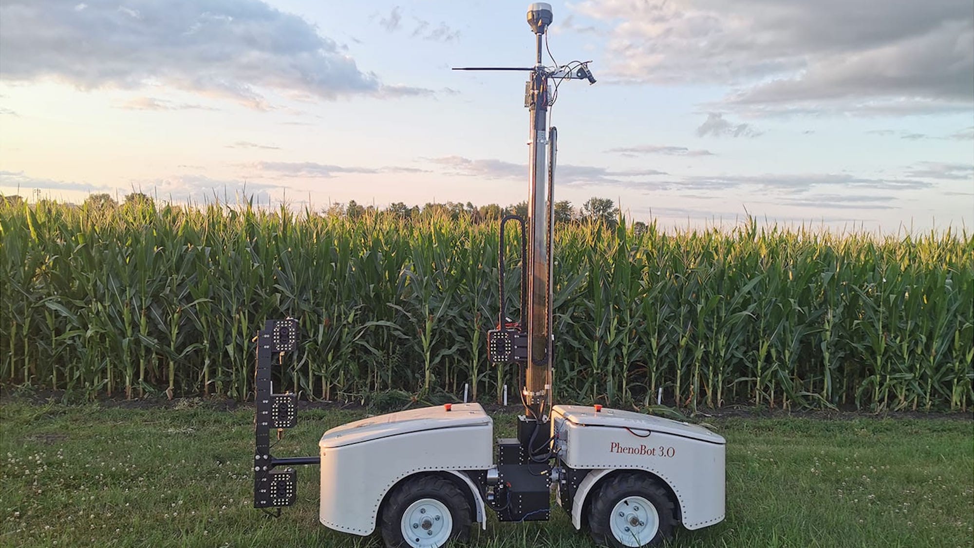 A corn leaf measuring robot is more useful than you think | Popular Science