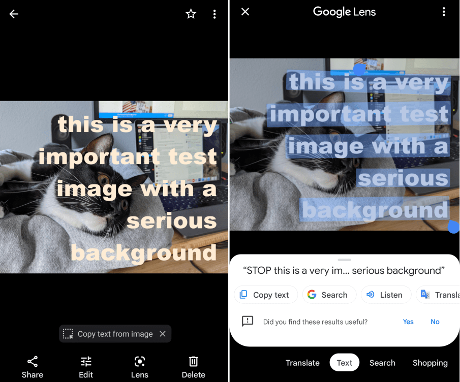 How to copy text from an image | Popular Science